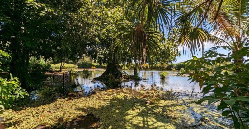 Tahiti Private Half Day Tour. Nature, history and culture - An hour-by-hour look at what makes this tour special