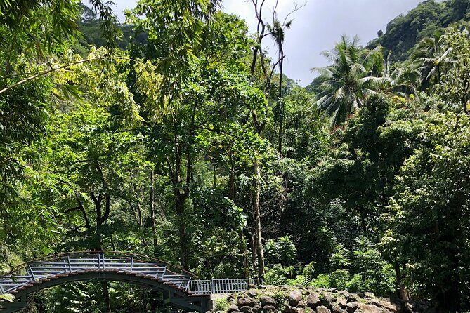 Tahiti: Tour of the East or West Coast (Half Day) - Transportation and Logistics