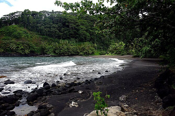 Tahiti: Tour of the East or West Coast (Half Day) - Who Should Consider This Tour?