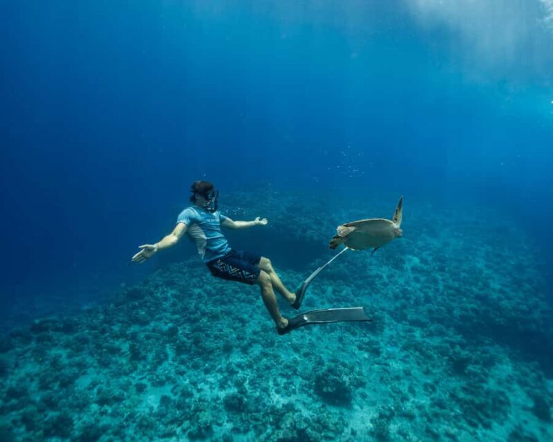 Tahiti underwater photo experience - Practical Details and Considerations