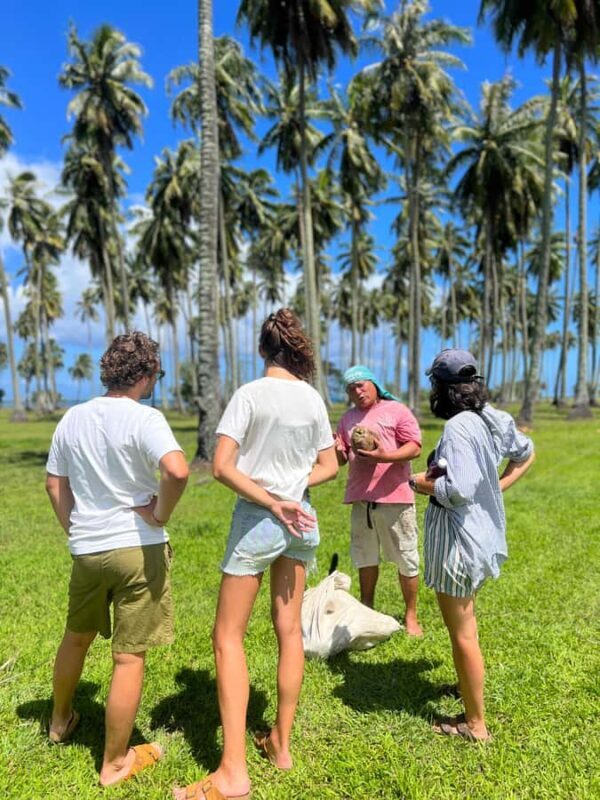 Tahiti: Unique West Coast Half Day Tour with Local Guide - Who Should Consider This Tour?