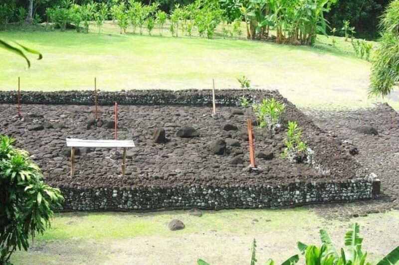 Tahiti: West and East Coast Island Tour with Waterfalls - A Closer Look at the Tour’s Itinerary