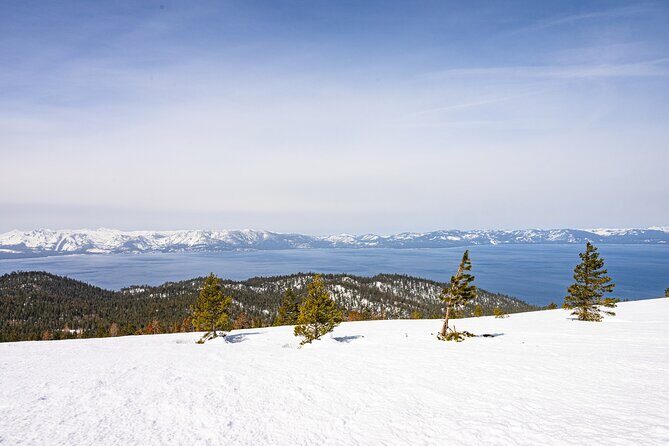Tahoe Lakeview Snowmobiling Tours - The Sum Up