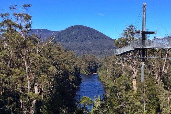 Tahune Airwalk & Hastings Cave Active Day Tour from Hobart - Final Thoughts