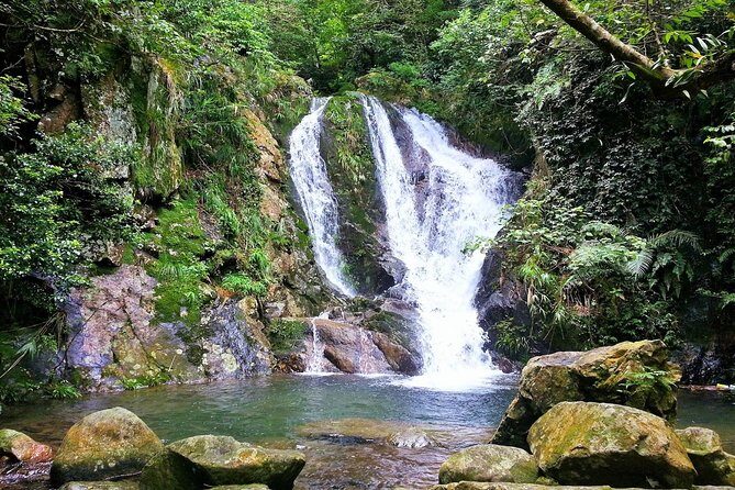 Tai Mo Shan Waterfall Adventure Hike - Authenticity and Reviews – What Travelers Say