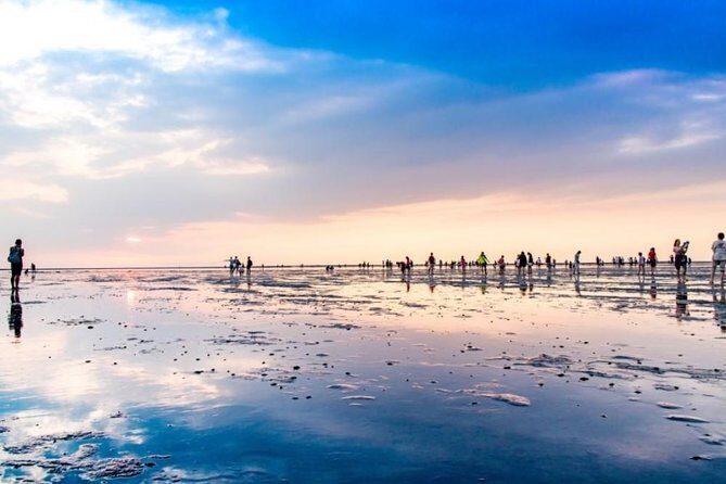 Taichung Art and Culture Tour - Introduction: A Well-Rounded Day of Taichung