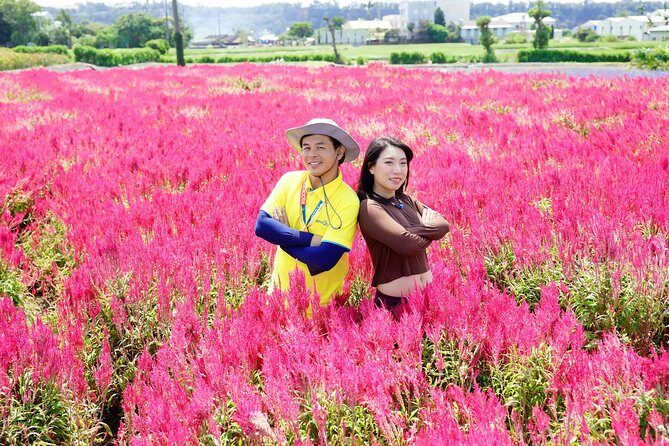 Taichung Must-Visit Join In Day Tour from Taipei - Key Points