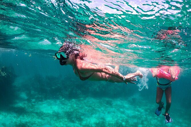 Taiguey Emotion Show - In-Depth Look at the Tour Experience