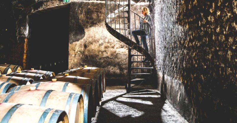 Taillan-Médoc: Château Visit and Wine Tasting in Bordeaux - An In-Depth Look at the Château du Taillan Tour