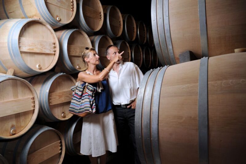 Taillan-Médoc: Château Visit and Wine Tasting in Bordeaux - Who Should Book This Tour?