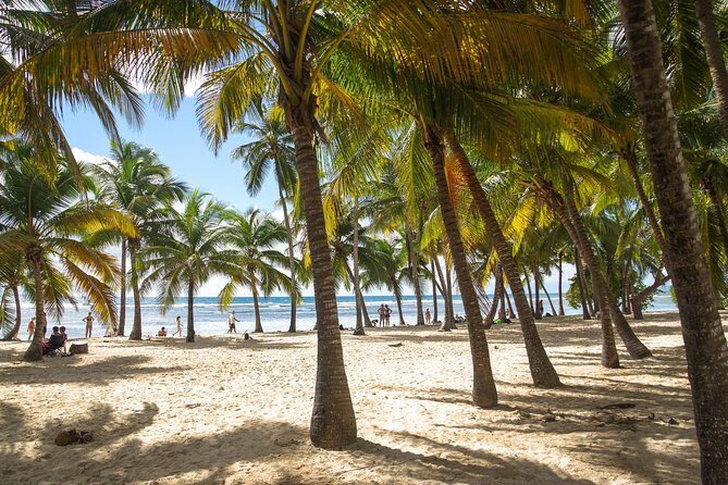 Tailor-made Private Excursions in Guadeloupe - Who Would Love This Tour?