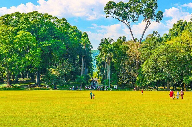 Tailor Made Two Weeks Sri Lanka Holiday with History and Culture - Who Will Love This Tour?