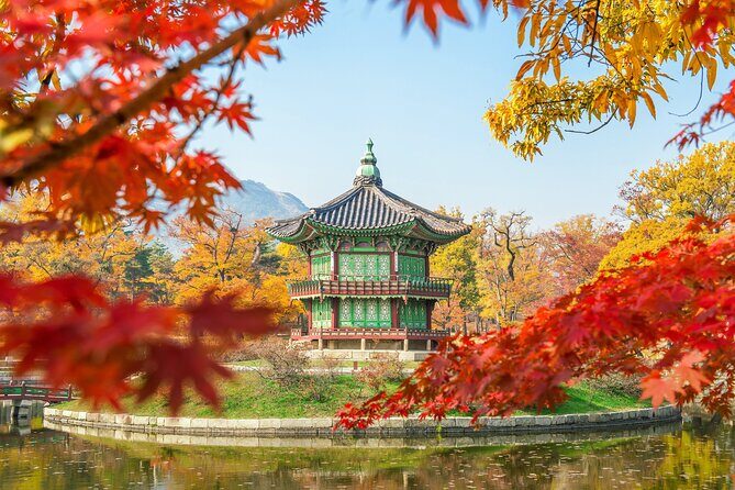 Tailored Private Tour from Seoul - The Review Spectrum: What Past Travelers Say