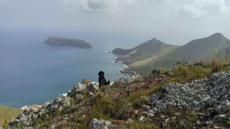 Tailored Trek: Your adventure, Your Way - An In-Depth Look at the Tour