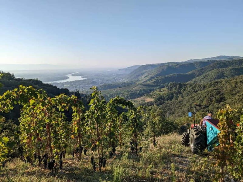 Tain l'Hermitage: Visit two wine estates and a Wine & Food Workshop - What’s the Experience Really Like?