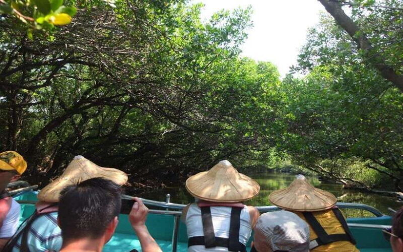 Tainan: Sicao Green Tunnel Scenic Boat Ride - What Is the Sicao Green Tunnel Scenic Boat Ride?