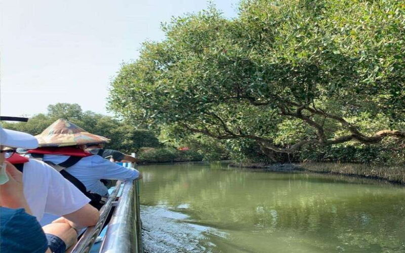 Tainan: Sicao Green Tunnel Scenic Boat Ride - What to Expect During the Tour