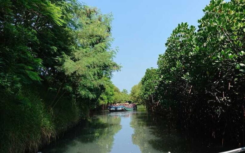 Tainan: Sicao Green Tunnel Scenic Boat Ride - FAQ