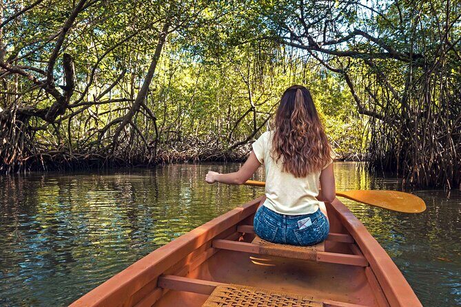 Tainos / Indigenas Los Haitises Caves and Mangroves Canoes Tour - FAQ