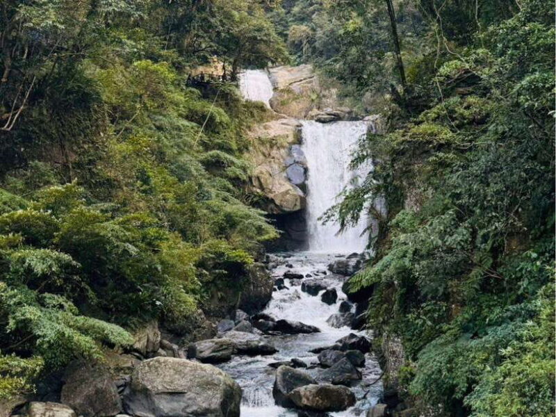 Taipei: 8 Hours Private Day Tour in Wulai with Benz Vito - Why This Tour Offers Great Value