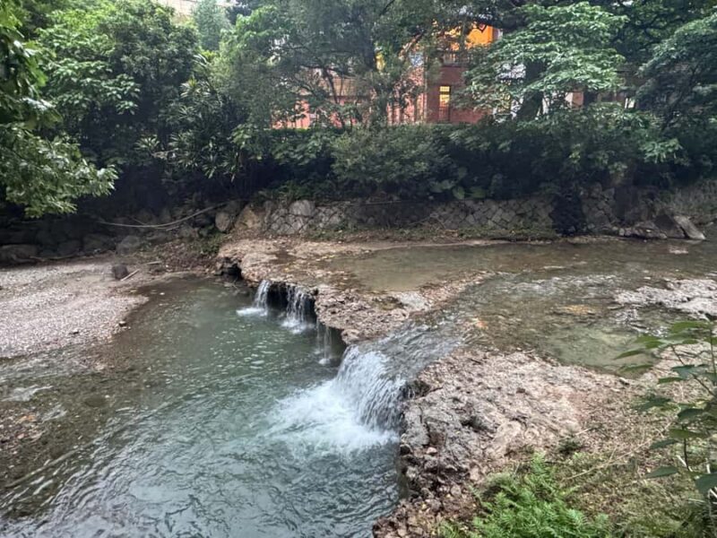 Taipei: Beitou Hot Springs and Heritage Walking Tour - The Sum Up