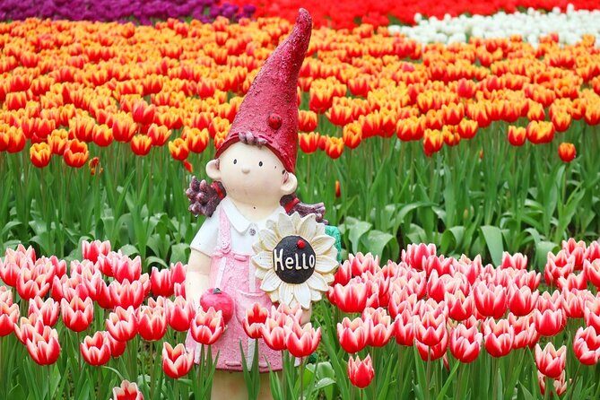 Taipei Cherry Blossom Day Tour to Yangmingshan and Tamsui - Transportation and Group Dynamics