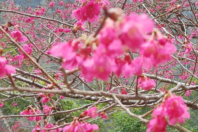 Taipei City to Taoyuan Airport Private Transfer - The Sum Up