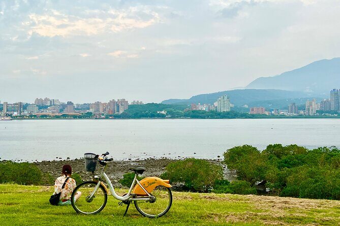 Taipei Customize Your Private Day Tour with Driver Guide - Who Should Consider This Tour?