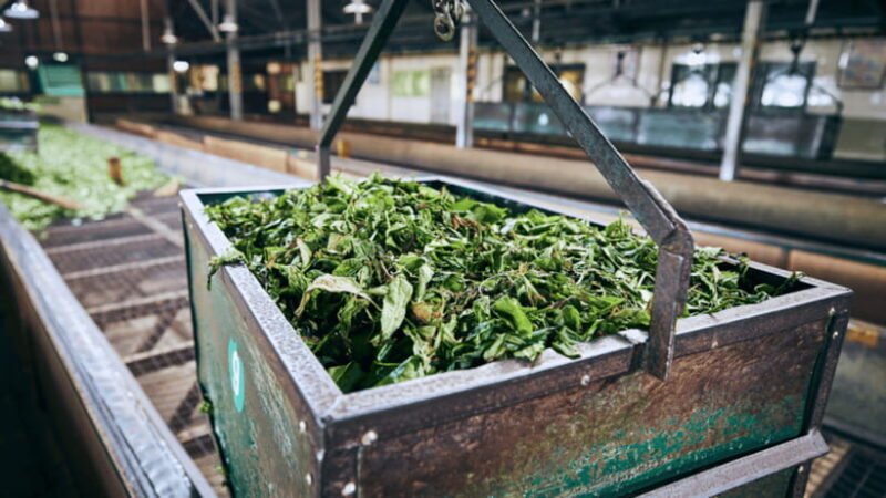 Taipei: Daxi Old Street and Tea Factory, Xiaowulai Day Tour - Key Points