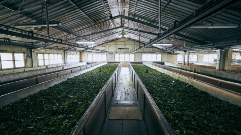 Taipei: Daxi Old Street and Tea Factory, Xiaowulai Day Tour - FAQs