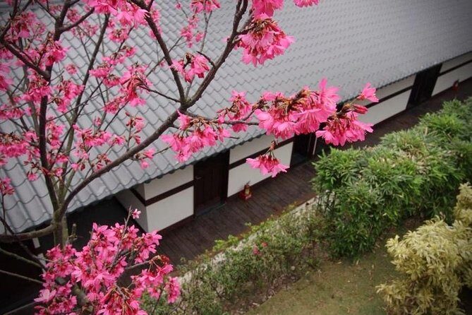 Taipei Day Tour including Taipei 101, Din Tai Fung and Hot Spring Experience - Logistics and Experience Details