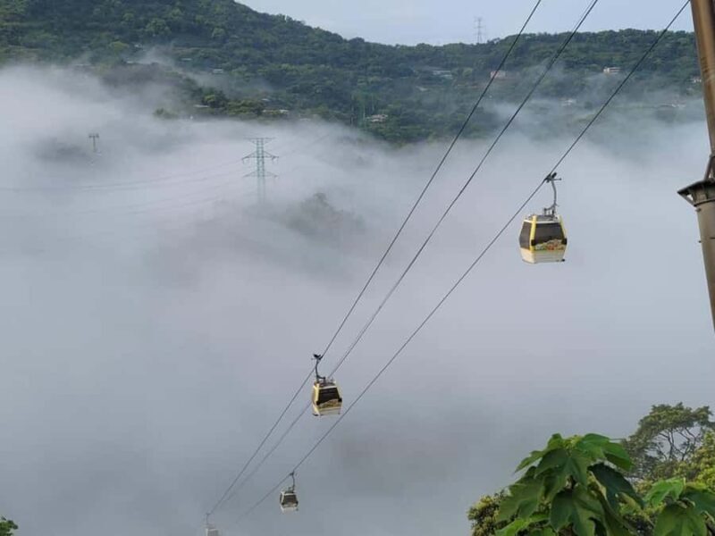 Taipei: Maokong Gondola & Zoo Combo Ticket with Train - A Detailed Look at the Experience