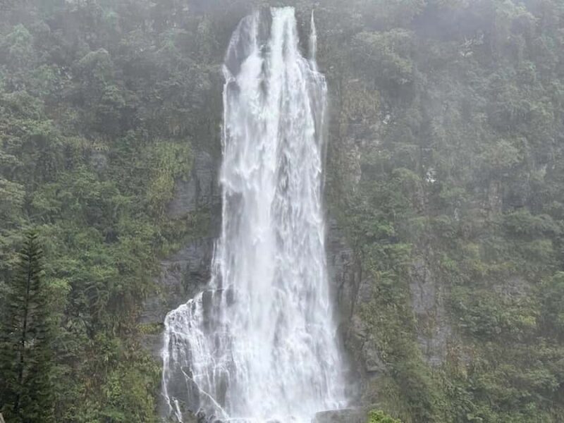 Taipei: Neidong Forest, Luxury Hot Spring & Bitan Boat Ride - A Day Out in Nature and Relaxation: What to Expect