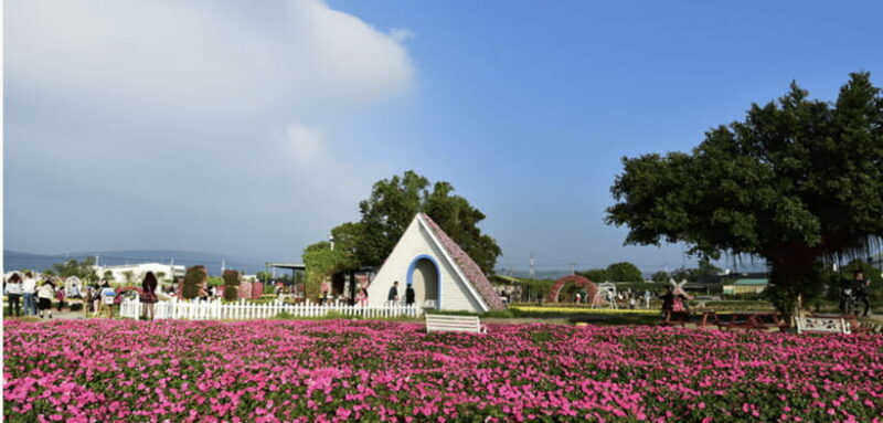 Taipei-Taichung-Taipei Private day trip - Who Will Love This Tour?