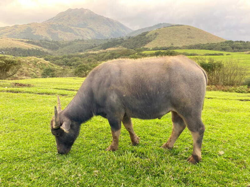 Taipei: Yangmingshan & Beitou Full-Day Tour - Practical Tips for Travelers