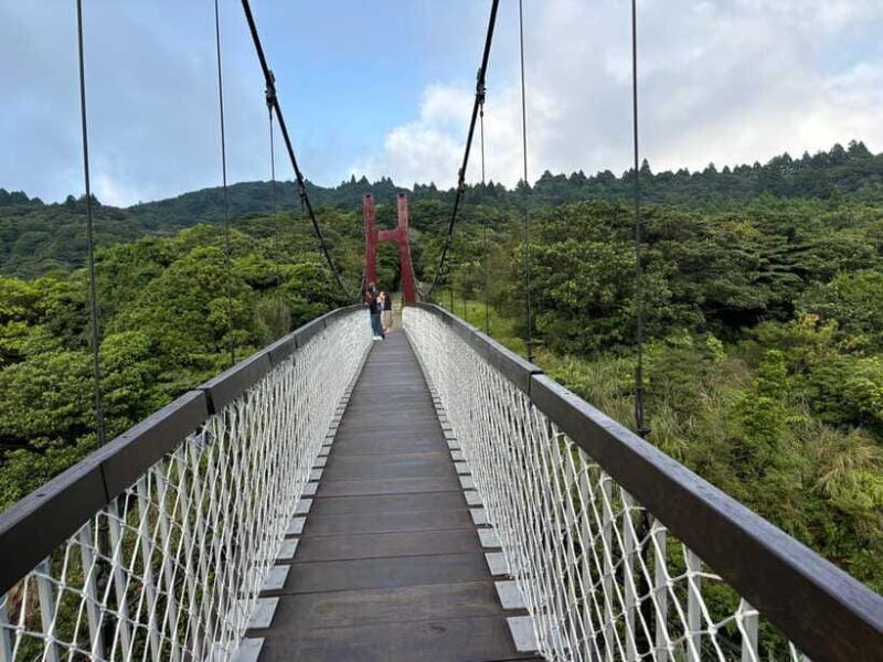 Taipei: Yanmingshan walking tour - Qingtiangang Grassland - Practical Tips for Participants