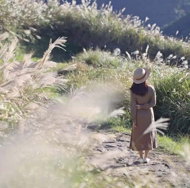 Taipei's Backyard - Yangmingshan National Park Day Tour - The Itinerary: Walking Through Taiwan’s Volcano-Influenced Landscape