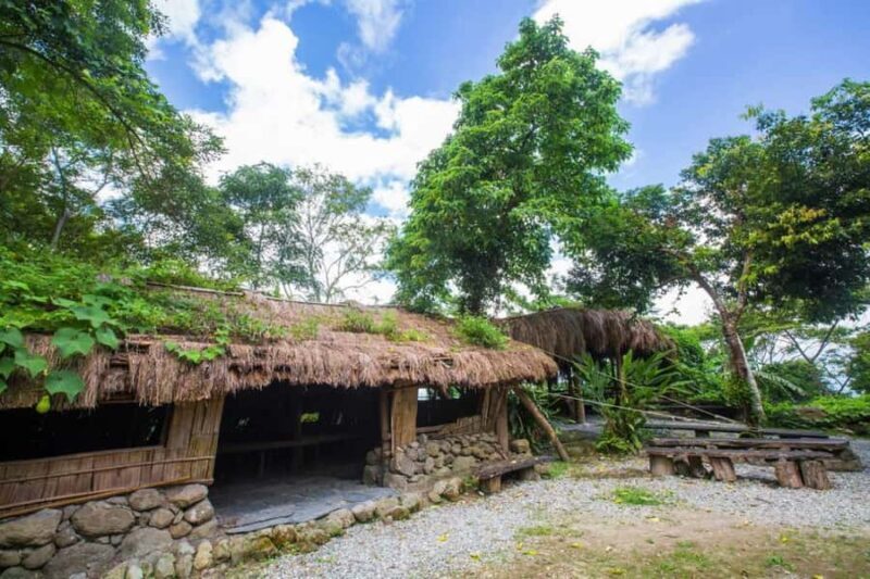 Taitung: Luan Mountain Forest Museum Guided Tour - A Deep Dive into the Experience
