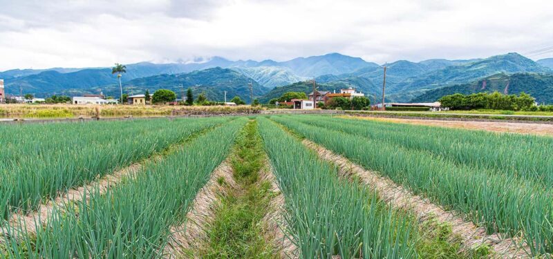 Taiwan: 10-Day Private Island Tour with 4-Star Hotels - A Detailed Breakdown of the Itinerary