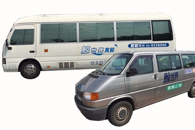 Taiwan Hualien Whale Watching Dolphin - An In-Depth Look at the Hualien Whale Watching Tour