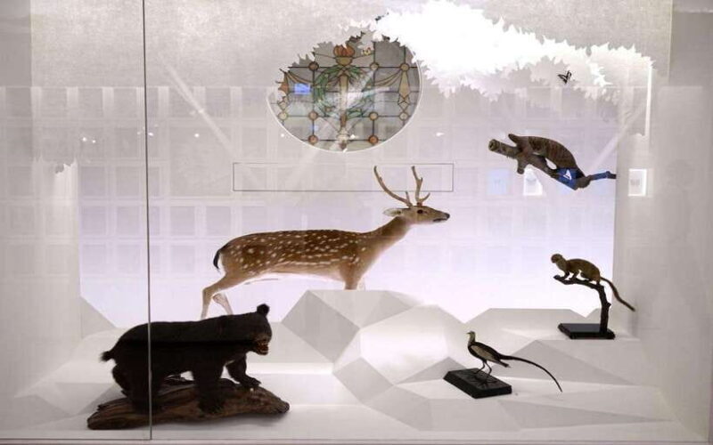 Taiwan Museum, MOCA Taipei & Miniatures Museum Entry Tickets - MOCA Taipei: A Hub for Modern Art and Creativity