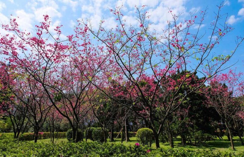 Taiwan Taipei: 8-Hour Customized Taipei City Exploration! - Exploring Taipei on Your Own Terms