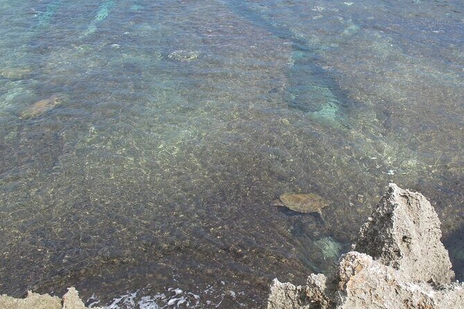 Taiwan Tour Bus Siao Liuchiu-Coral Island One Day Tour - An Honest Look at the Tour Itself