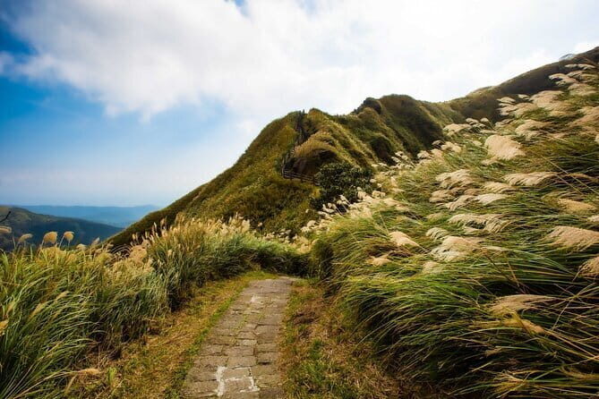 Taiwan TST : Private Tour Taipei, Yangmingshan, Beitou, Tamsui - A Well-Structured Day in Scenic Taiwan