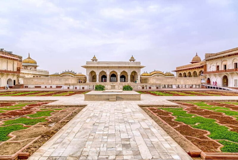 Taj Mahal, Agra Fort & Elephant Conservation Tour from Delhi - Exploring the Experience