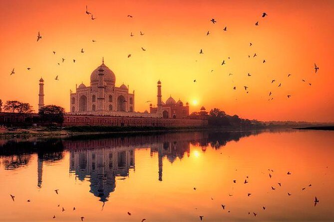 Taj Mahal & Agra Fort: Private Sunrise Tour from Delhi - An In-Depth Look at This Tour