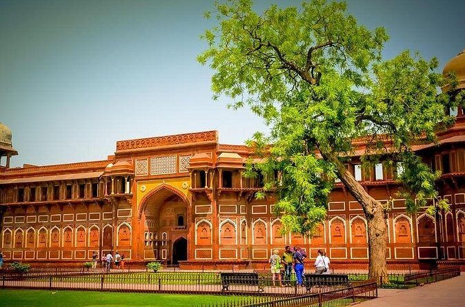 Taj Mahal & Agra Fort Tour from Agra City - Detailed Breakdown of the Experience