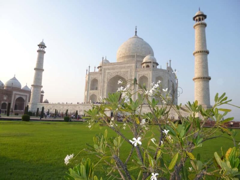 Taj Mahal & Agra Fort Tour From Jaipur By Car - Who This Tour Is Best For