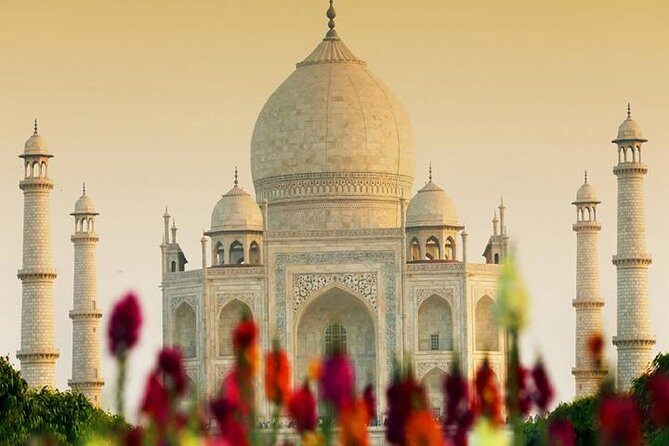Taj Mahal & Agra Private Day Tour from Delhi - Why Choose This Tour?