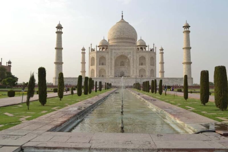 Taj Mahal and SOS Sanctuary: A Memorable Day from Delhi - Final Thoughts: Is This Tour for You?
